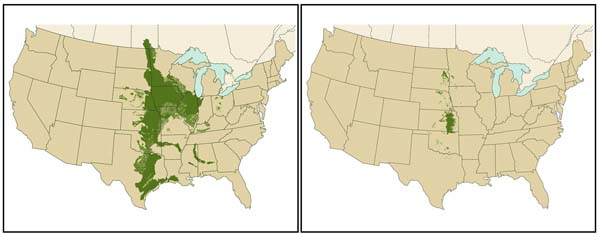 GULF TO GULF : Wisconsin Prairie Restoration